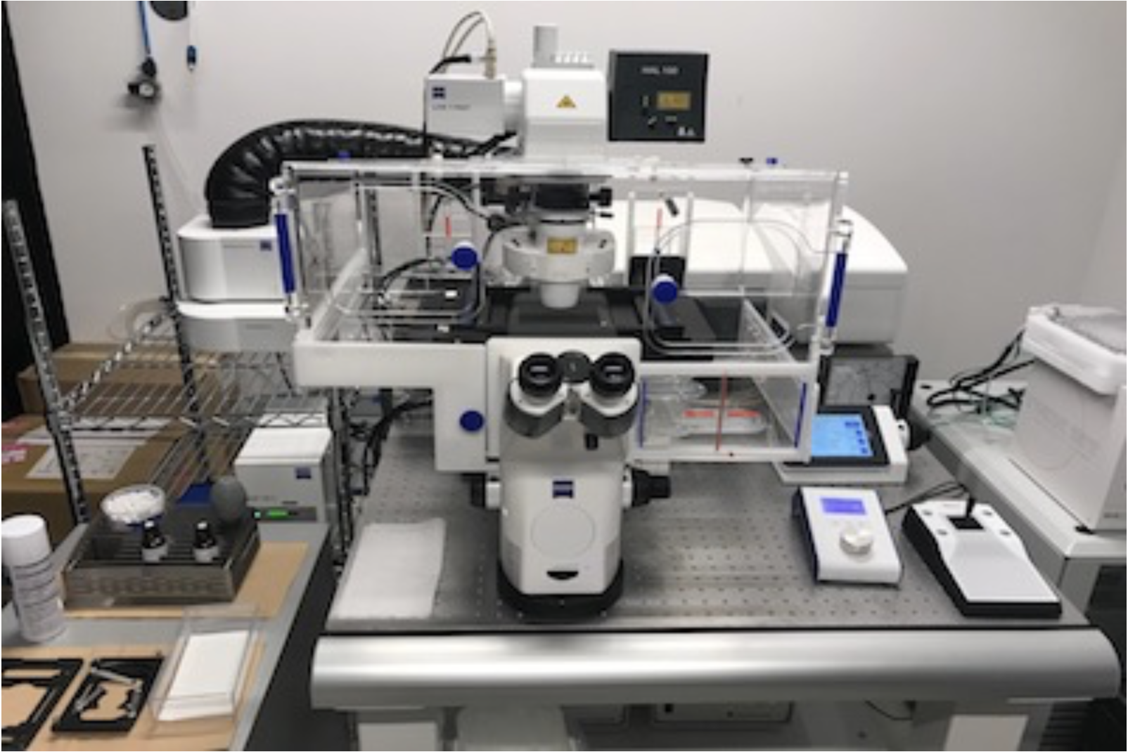 Super-resolution & Lightsheet microscope | OIST Groups